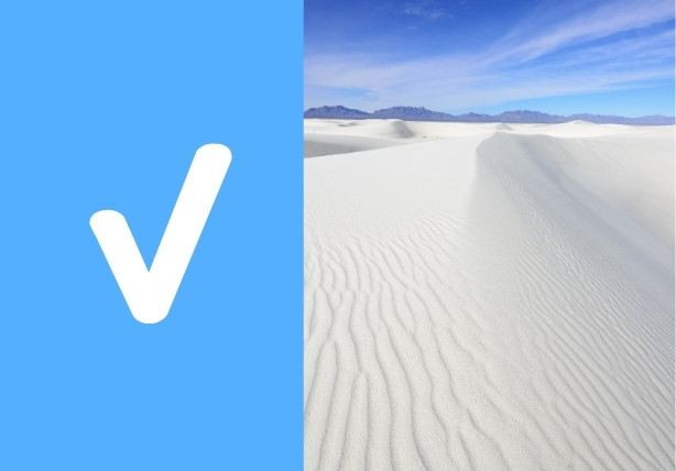 DL Software | Technology Partner